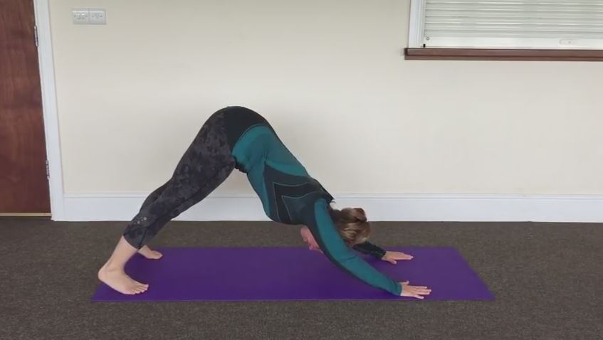 down-dog-stretch-sequence - Jane Mackenzie's Pilates Hythe and Folkestone